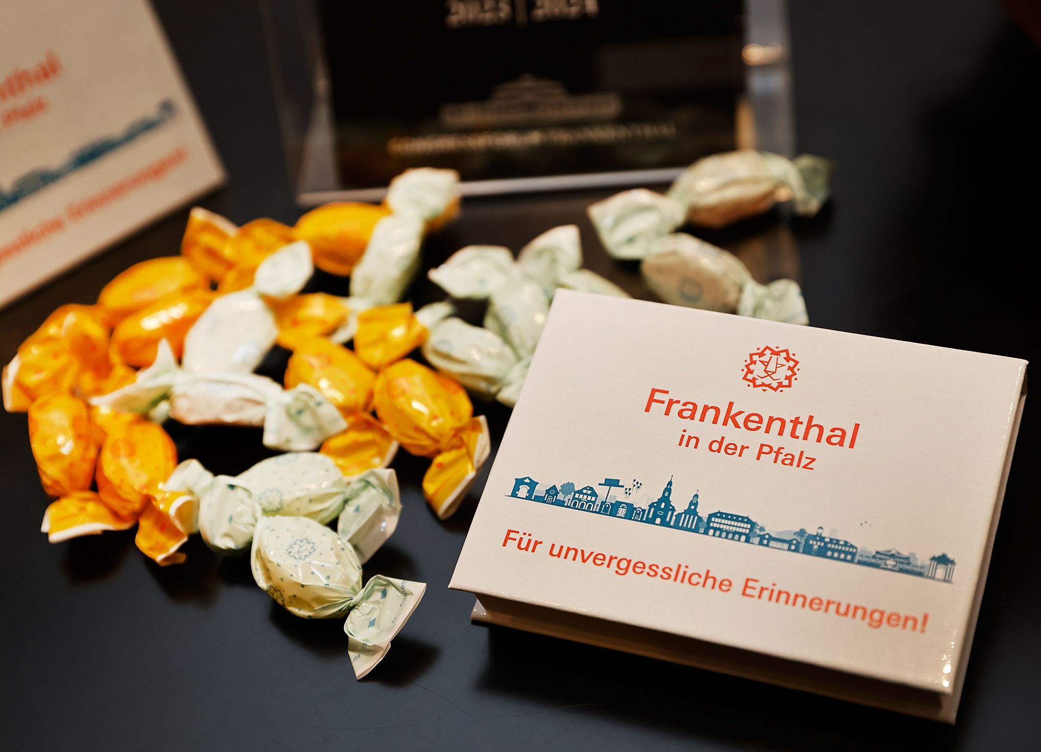 Oberbürgermeister Dr. Nicolas Meyer | Stadt Frankenthal